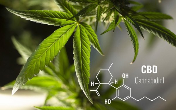 A CBD-nek kevés mellékhatása van - melyek ezek? | Cannadorra