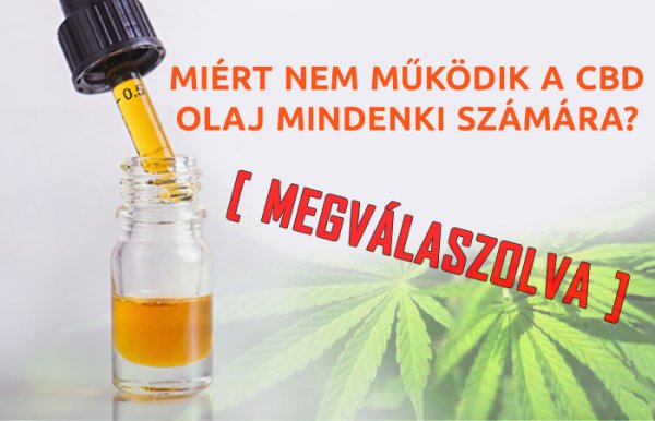 Miért nem működik a CBD olaj mindenki számára? | Cannadorra Miért nem működik a CBD olaj mindenki számára? | Cannadorra